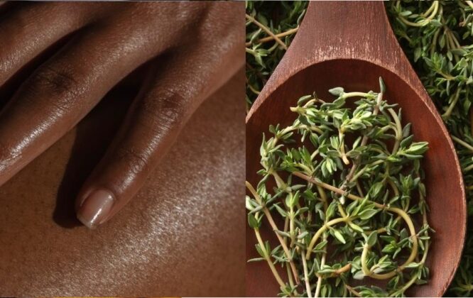 15 Best Natural Herbs and Plants For a Good Skincare routine