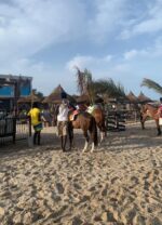 Alora Beach Resort in Ghana | Food, Menu, Location & Prices | AfiaGhana